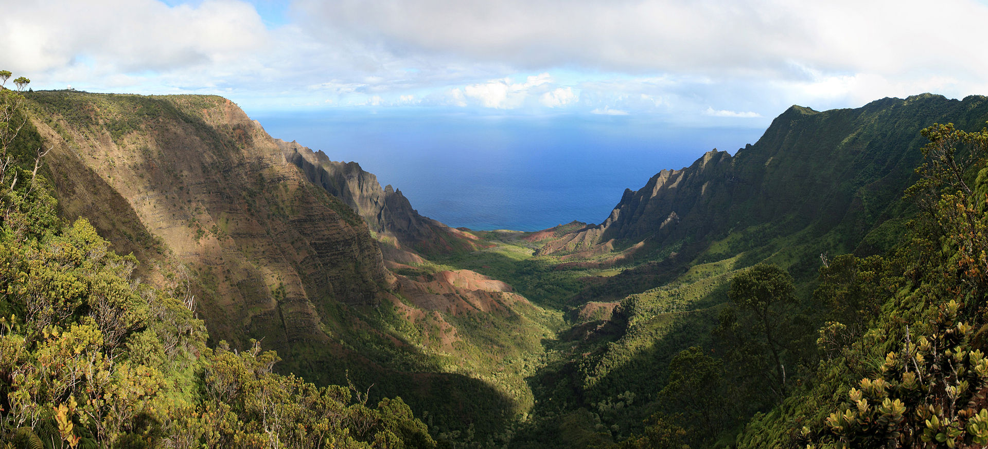 Ala'kai Swamp Hiking Tour - Hiking Tours Kauai Hawaii